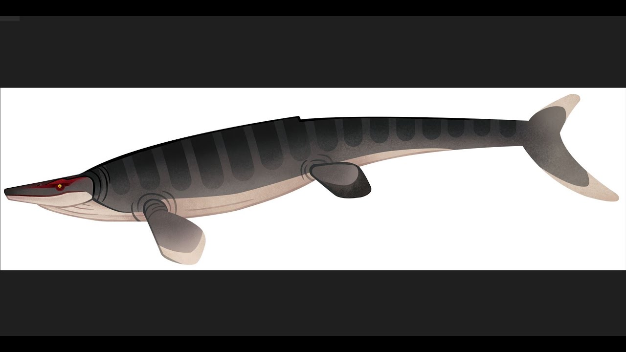 New Species of Mosasaur! Lord of The Maastrichtian Seas Hainosaurus ...