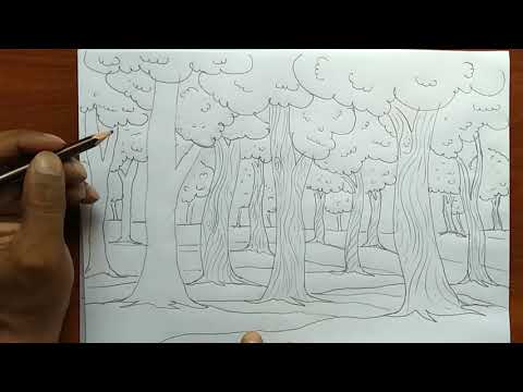 How to draw forest scene Step by step | Forest drawing for beginner (very easy) | Art video