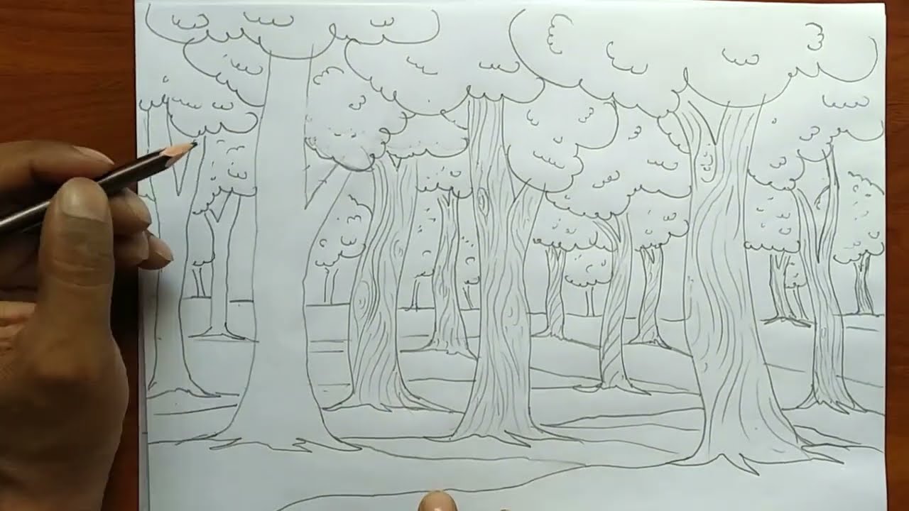 How to draw forest scene Step by step | Forest drawing for beginner ...