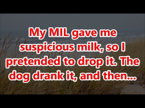 My MIL gave me suspicious milk, so I pretended to drop it. The dog ...