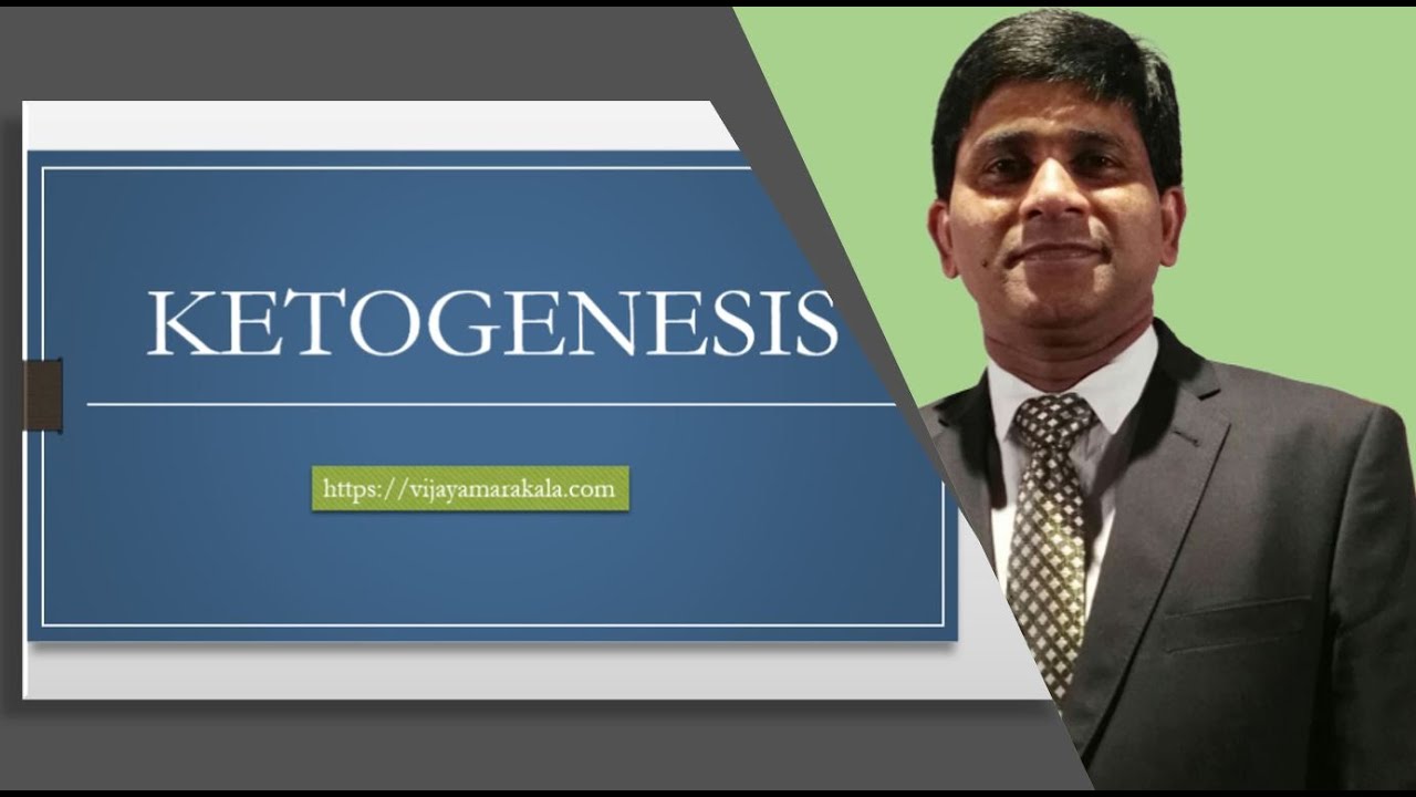Ketone body metabolism: Ketogenesis: biochemistry - YouTube