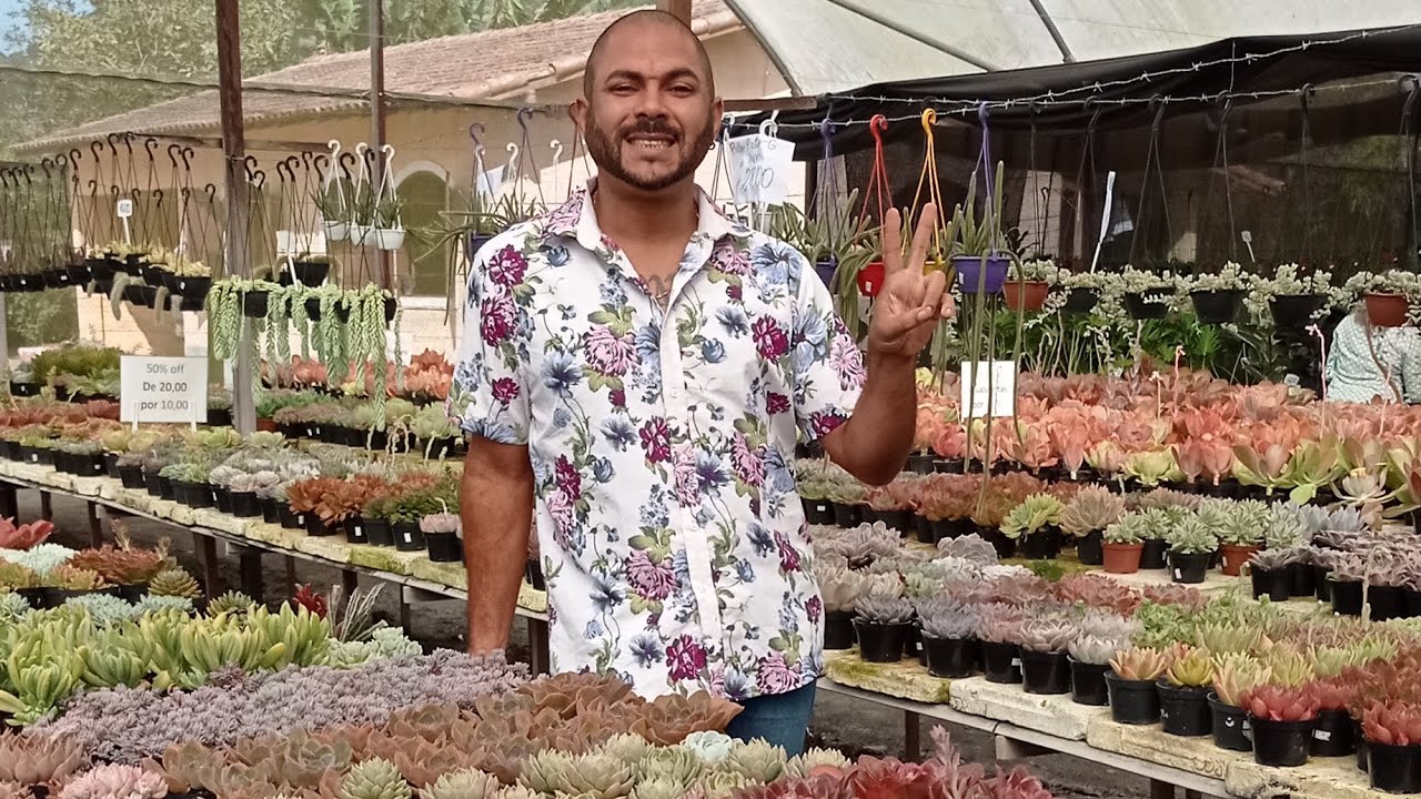 Visita a FLORART ️ vcs precisam conhecer esse lindo lugar 🪴 #goodvibes ...