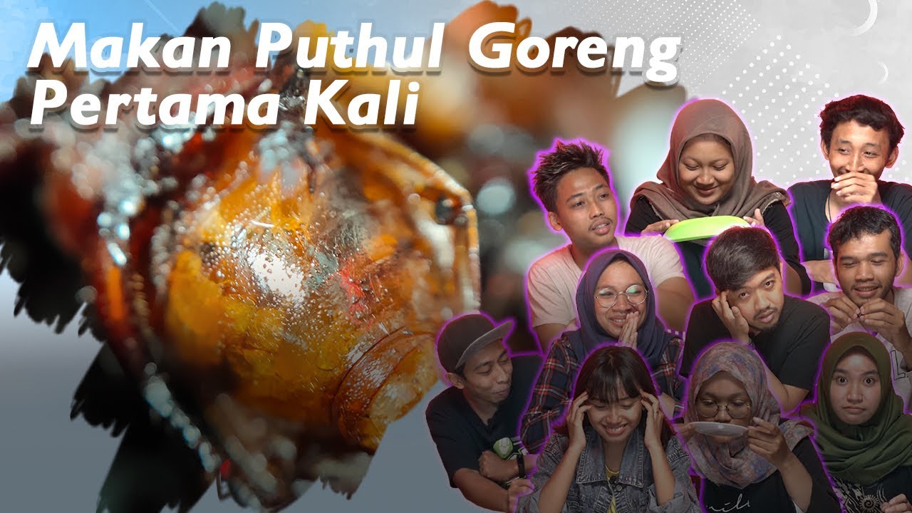 Doyan Makan | Pertama Coba - Puthul Goreng, Serangga Yang Jadi Makanan ...