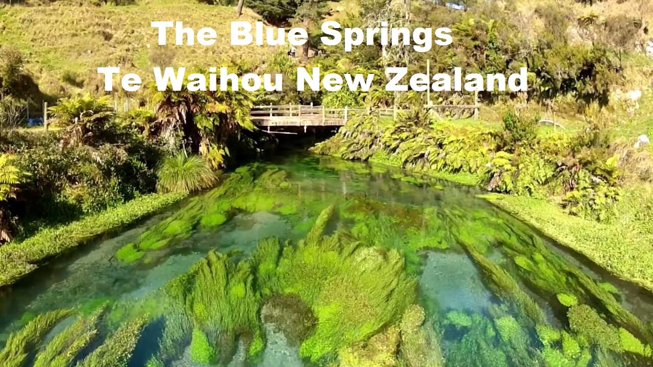 The Beautiful Blue Springs - New Zealand - YouTube