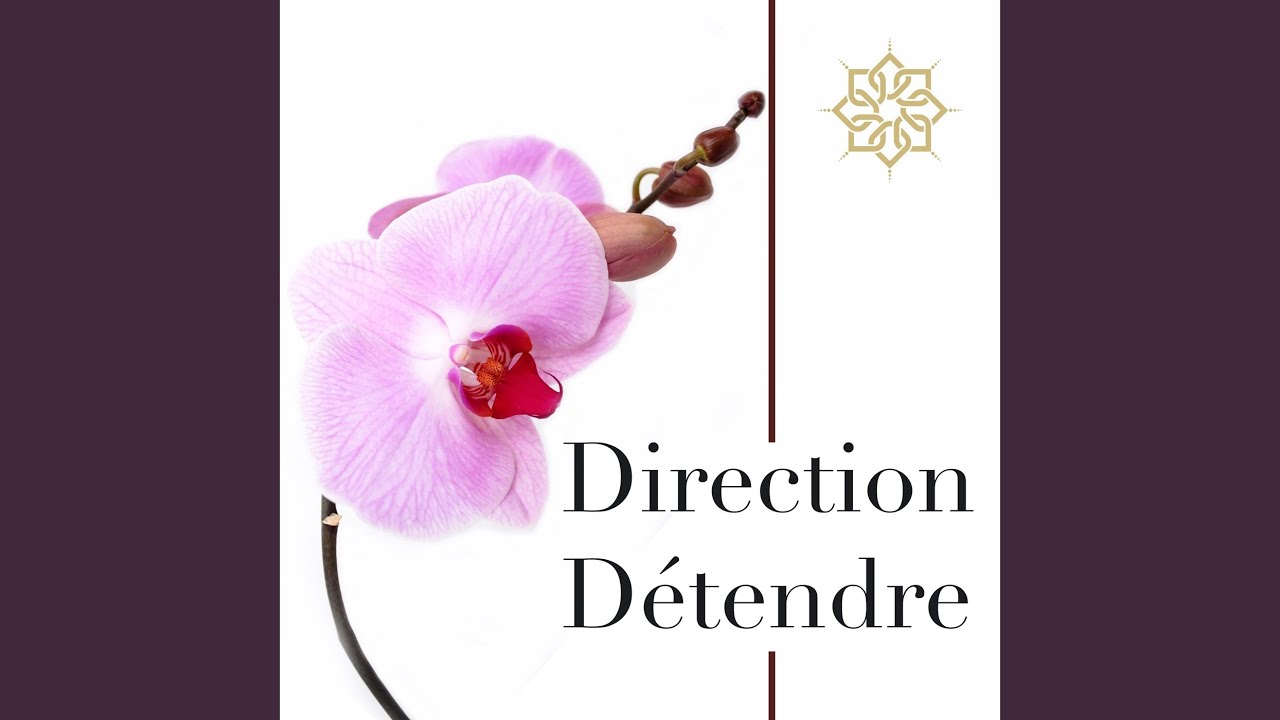 Le Noble Sentier Octuple - YouTube