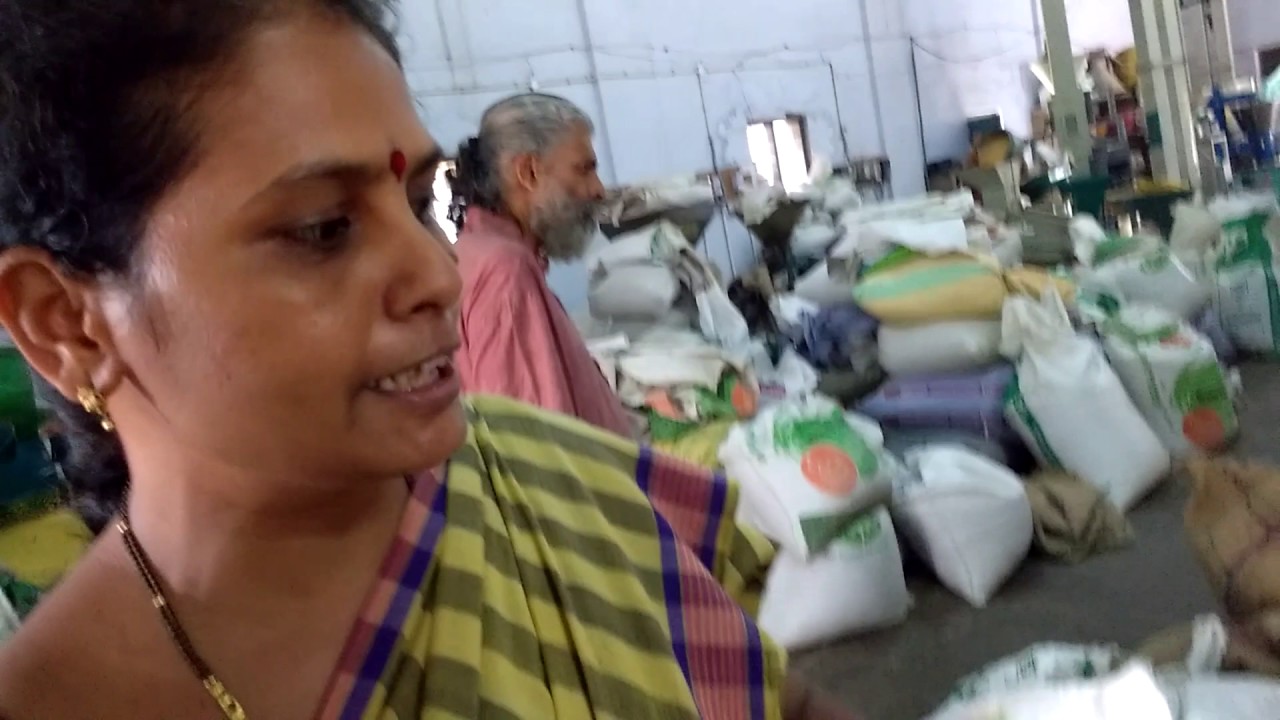 Stages of processing millets at Earth 360 enterprise - YouTube