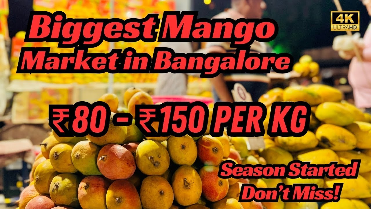 Biggest MANGO Market in Bangalore | 25+ Varieties | TV Tower Road | JC ...