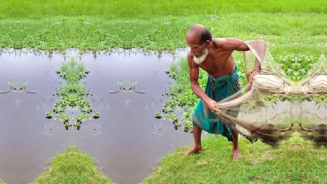 Traditional Net Fishing Best Village Fishing Video Amazing Fishing ...