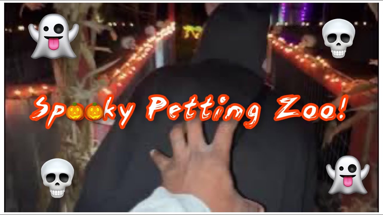 We visited a SPOOKY petting Zoo! - YouTube