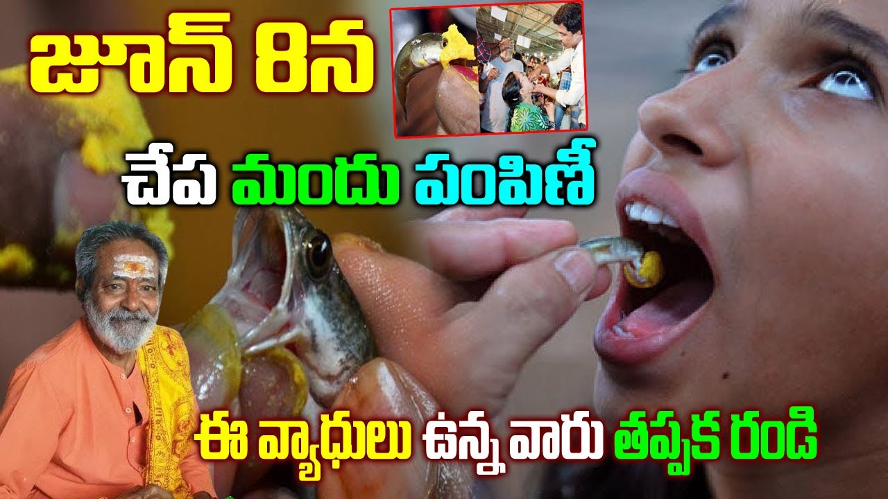 Fish Prasadam Distribution From June 8 To 9 On Mrigasira Karthi 2024 In ...