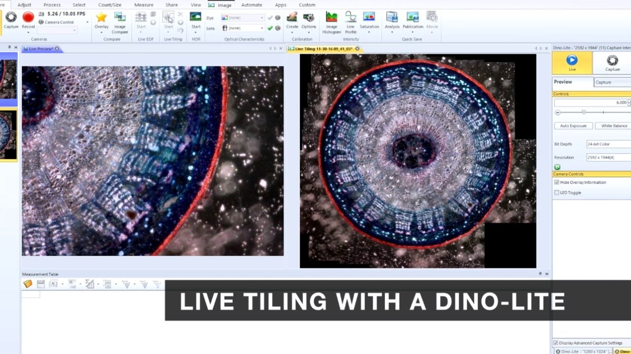 Live Tiling with a Dino-Lite using 3rd party software - YouTube