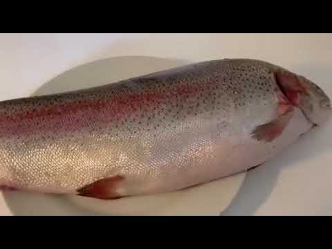 Kaluun iyo bariis suugo aad macan qurux badan - YouTube