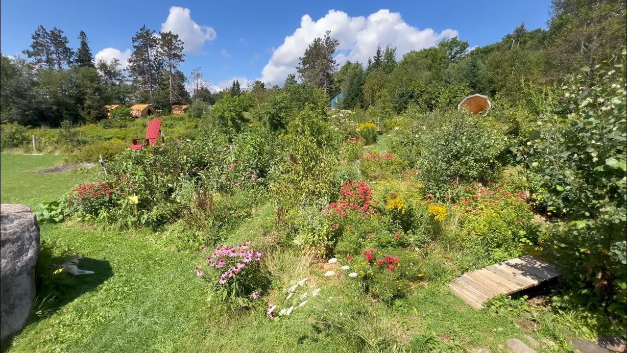 Fall Arrival in the Forest Garden - YouTube