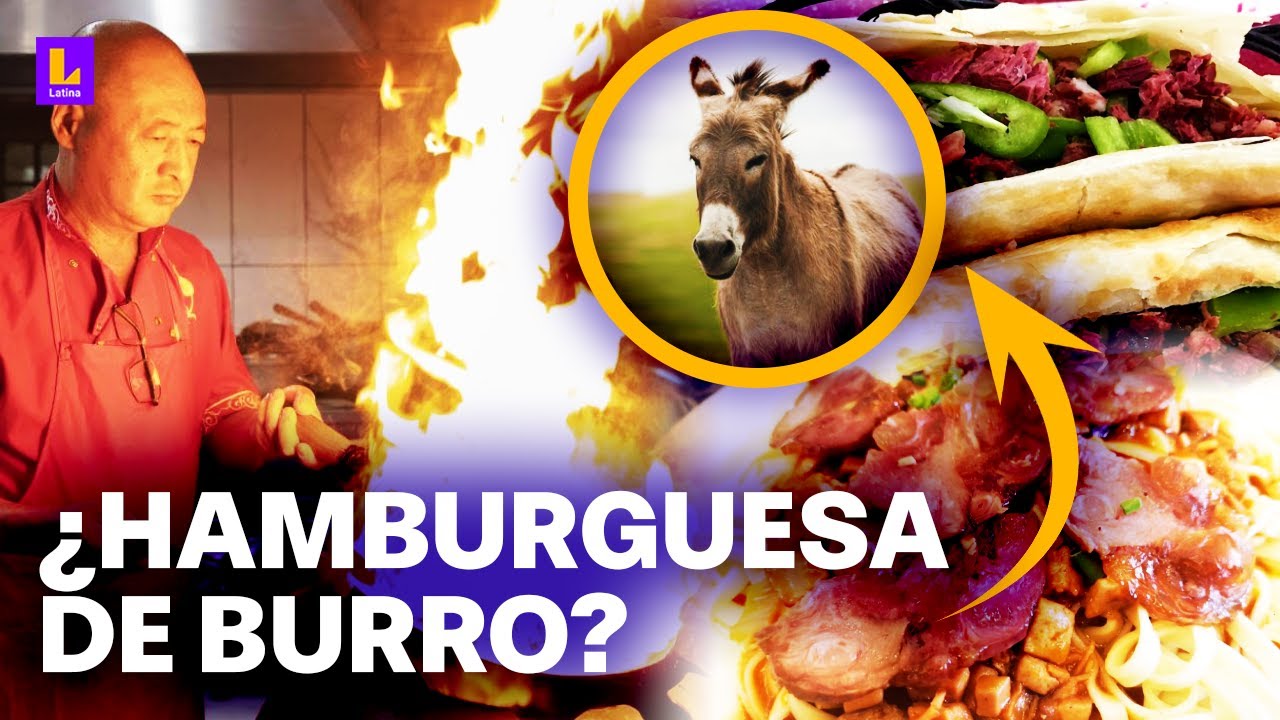 ¿Hamburguesa de burro? Conoce los platos hechos por carne de burro en ...