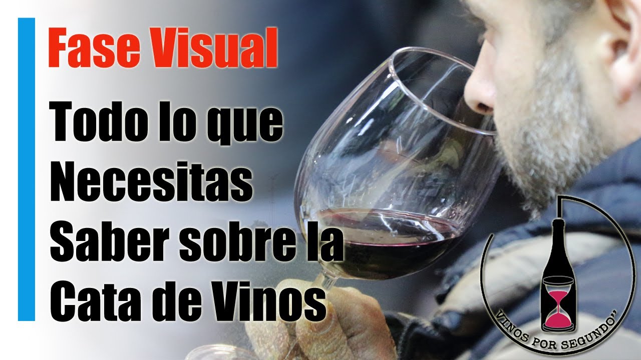 Aprender a CATAR VINOS - Fase visual - YouTube