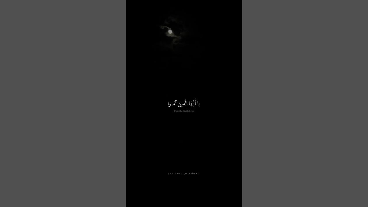 يا ايها الذين امنوا اطيعوا الله واطيعوا الرسول محمد صديق المنشاوي