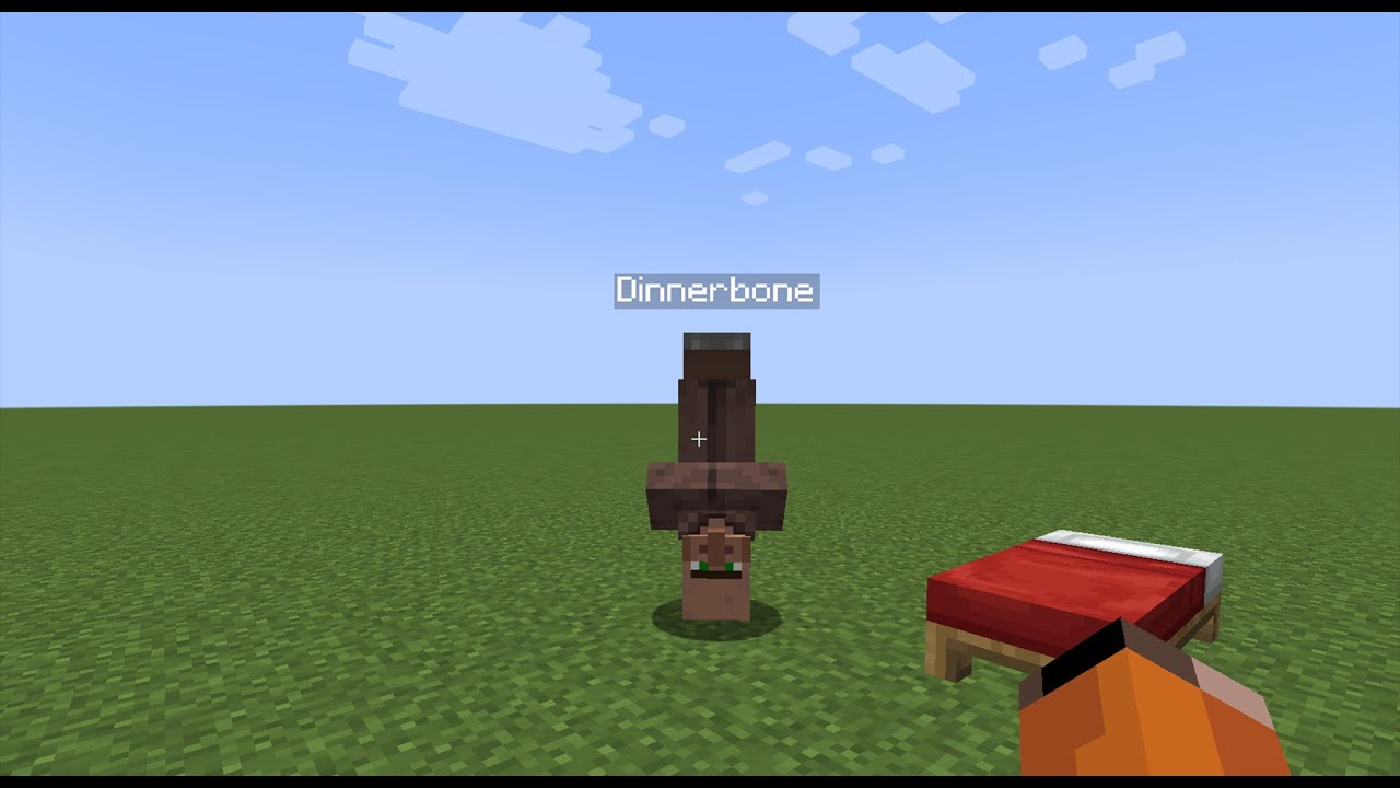 Minecraft: How will a Dinnerbone villager sleep? - YouTube