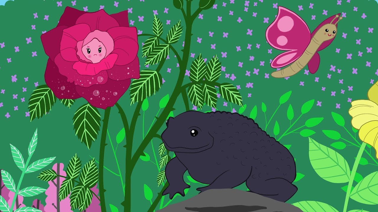 La Rosa y el Sapo | Cuento con valores - YouTube