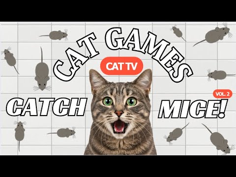 CAT TV: Catch The Mice! V2 🐭 Interactive Cat Entertainment | Mouse ...