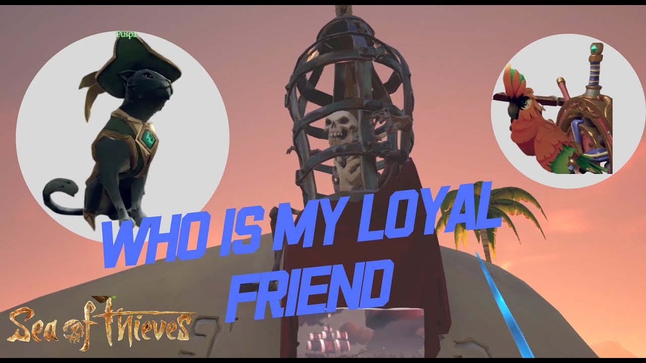 SEA OF THIEVES|WHO IS MY LOYAL FRIEND!👓|Ron Gaming - YouTube