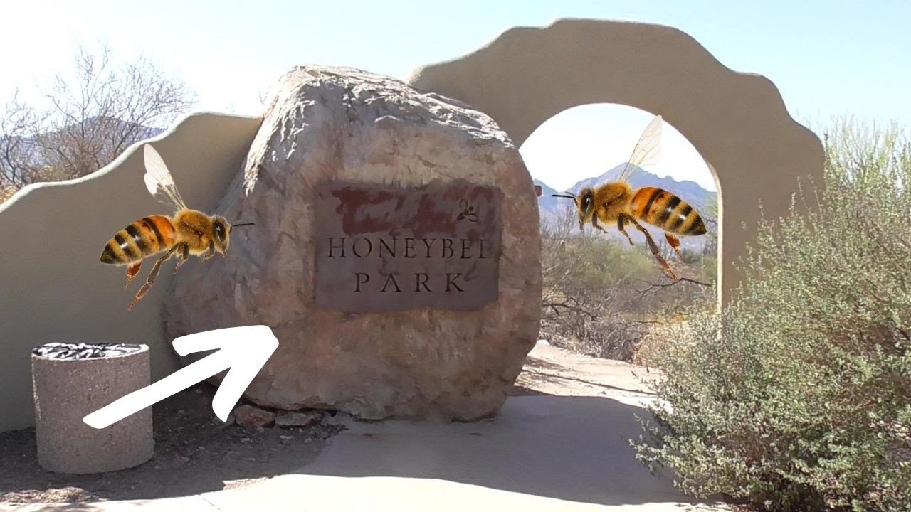 Hiking Honey Bee Canyon Park - YouTube