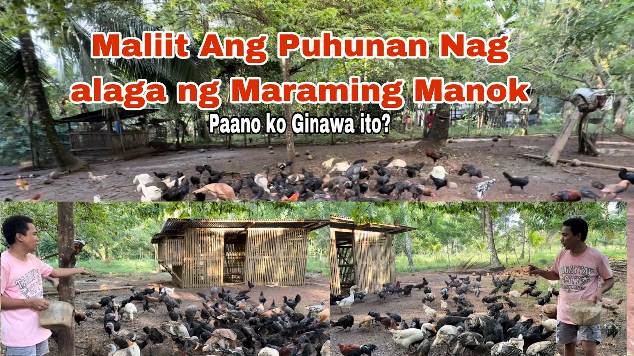 Maliit Ang Puhunan Kaya Natin Mag alaga ng Maraming Hayop sa ...