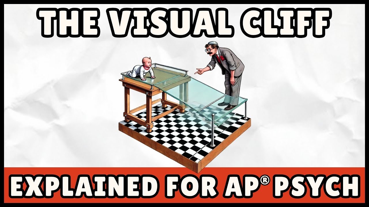 Depth Perception and The Visual Cliff (AP Psychology) - YouTube