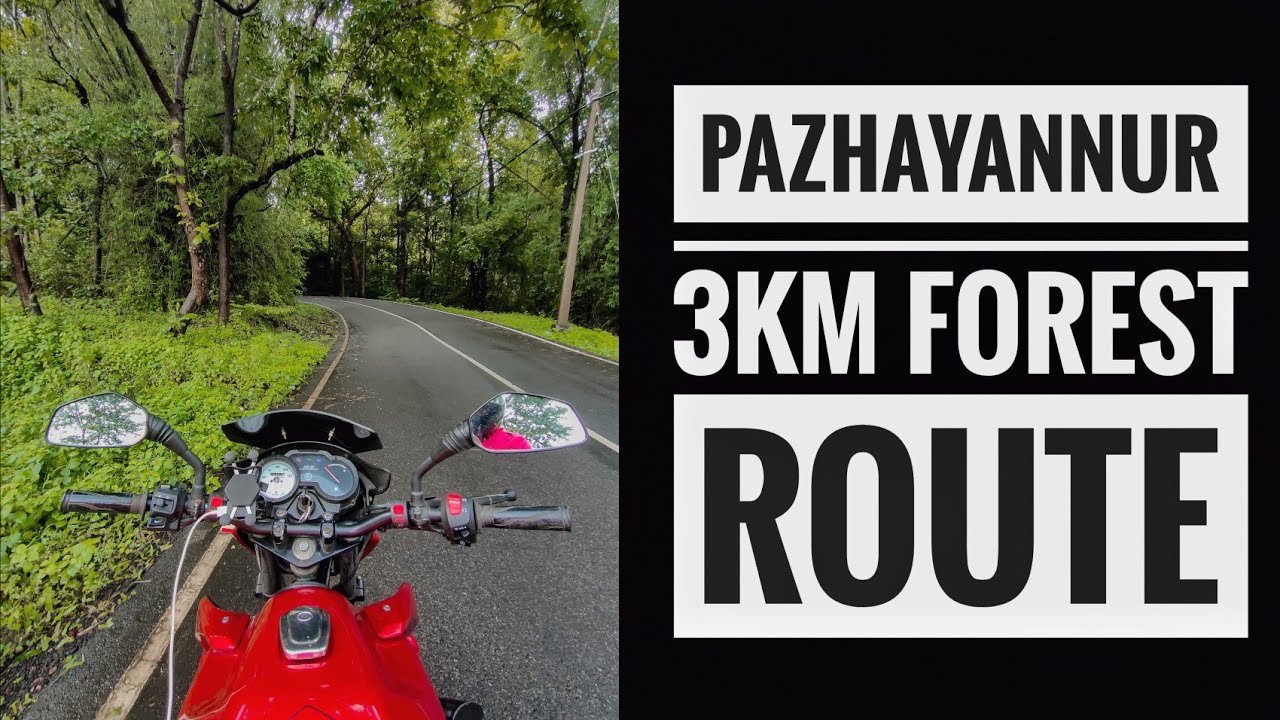 pazhayannur forest route😱 ||| elanad pazhayannur route||| beauty of ...