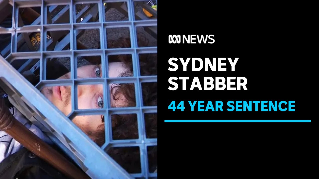 Sydney CBD killer jailed for 44 years over murder of Michaela Dunn ...