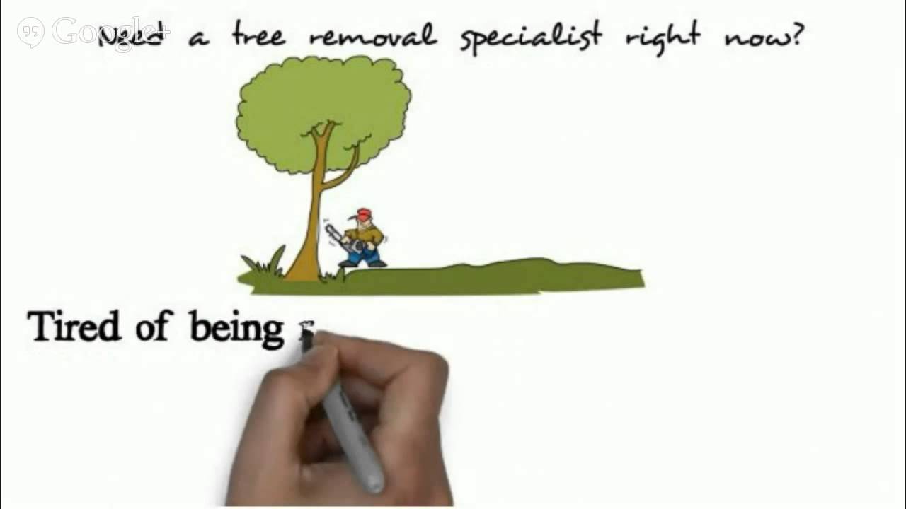 Leeds tree cutting service - YouTube