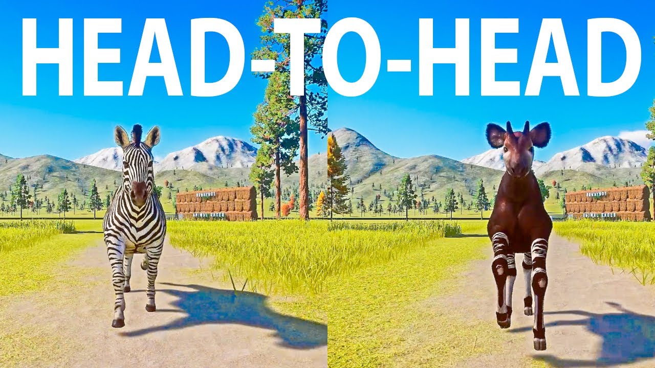 A Head to Head Speed Race Between Okapi and Zebra in Planet Zoo - YouTube