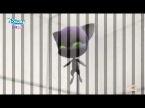 DİSNEY Channel Kapanmasaydi Mucize Uğur böceği ile kara kedi 5.Sezon Final|| Full