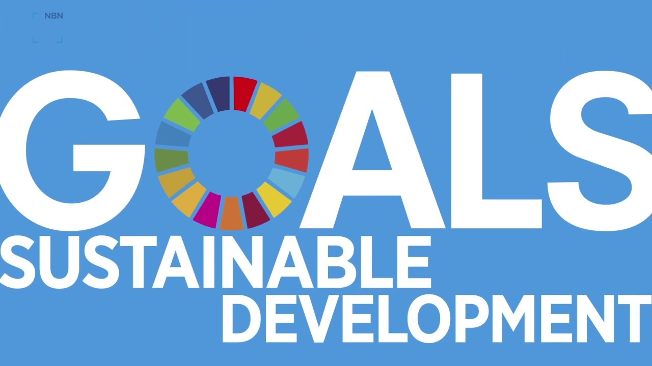 Standards & SDGs : an Introduction (2019) EN|FR|NL - YouTube