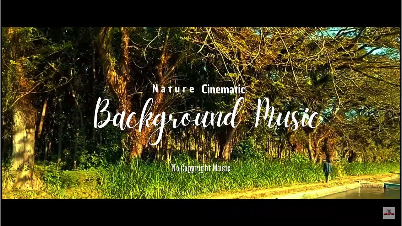 Nature Cinematic Video | Background Music | - YouTube