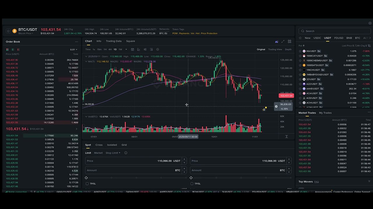 LIVE BTC/USDT CHART: Real-Time Bitcoin Price Tracker (Current Market ...