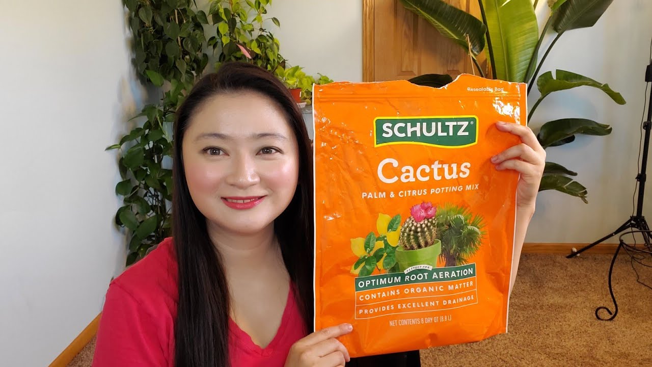 Schultz Cactus Soil Review - YouTube