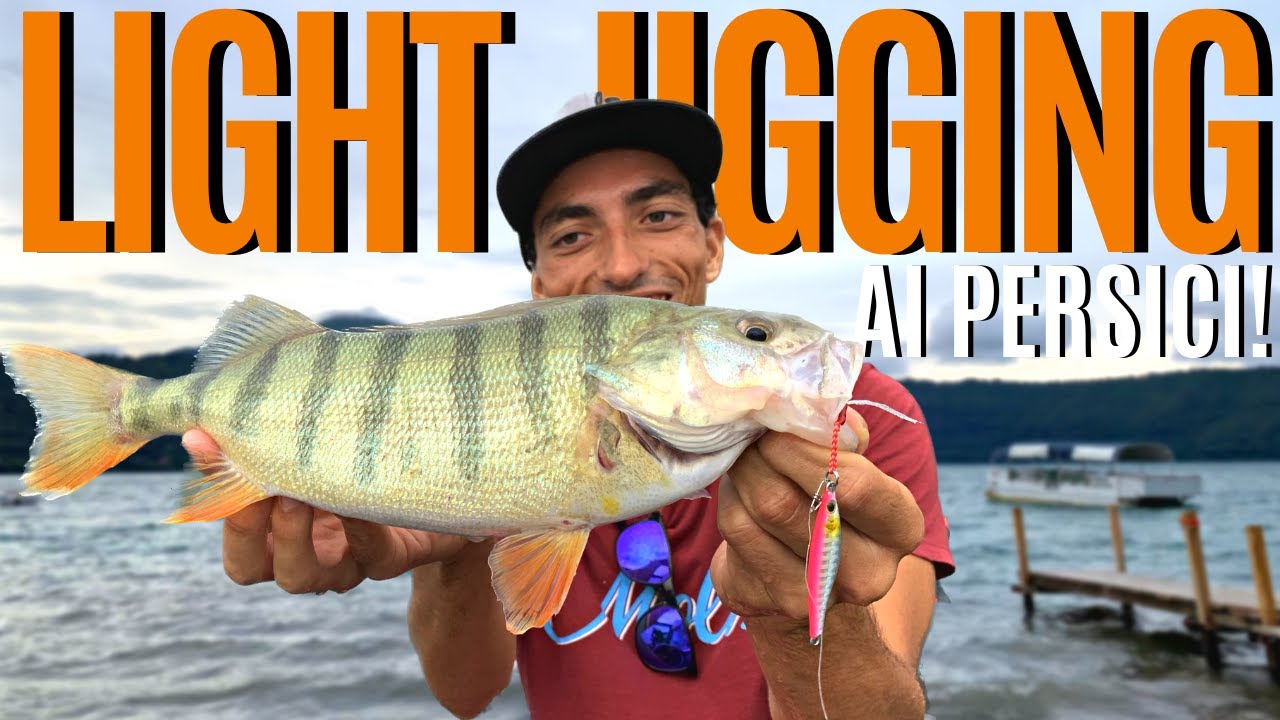 Pesco i PERSICI REALI con ESCHE DA MARE! Light Jigging al Persico Reale ...