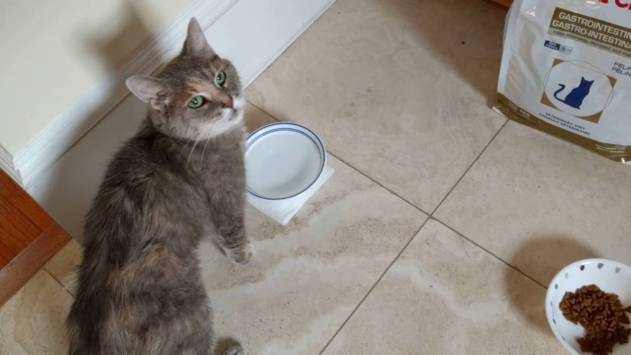 Hi Richard! - YouTube