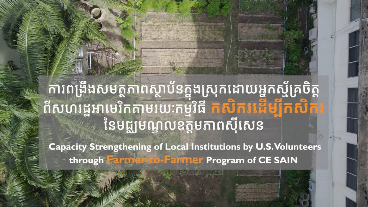 ផលជះរបស់គម្រោងកសិករដើម្បីកសិករ | Impact of the Farmer-to-Farmer Project - YouTube