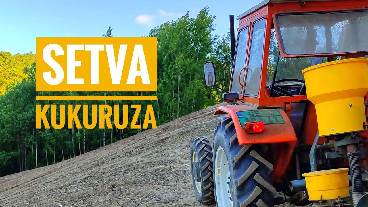 Fiat 450 i Univerzal 445 u setvi kukuruza 2024.godina - YouTube