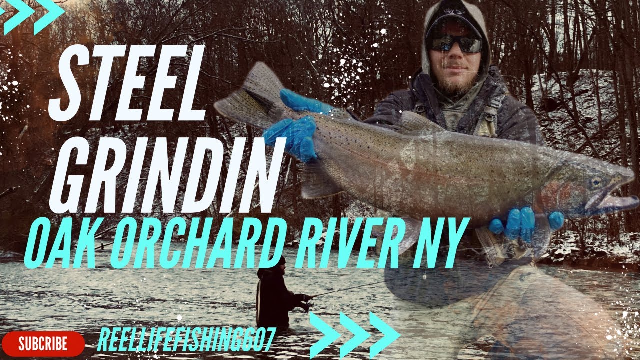 STEEL GRINDIN! Oak Orchard River, NY! Winter STEELHEAD! - YouTube