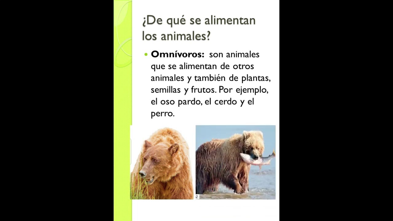 1° CIENCIAS NATURALES SEMANAS 21 Y 22 QUE NECESITAN LOS ANIMALES PARA ...