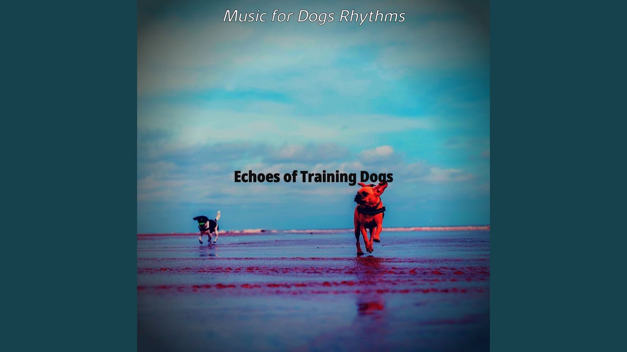 Extraordinary Backdrops for Lonely Dogs - YouTube