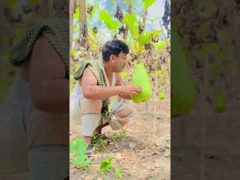 Rashed Vai official আবার আমি আসলাম নতুন ফান ভিডিও - YouTube