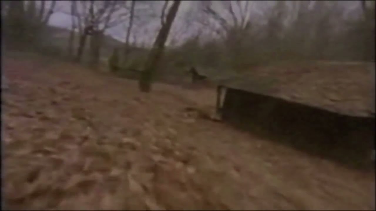 The Evil Dead. (1981) Ending Credits Scene. 🎥 - YouTube