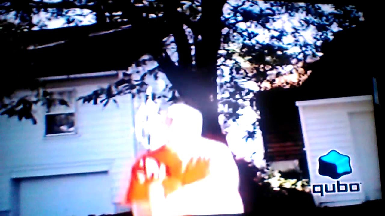 Funniest Pets & People|Qubo Promo - YouTube