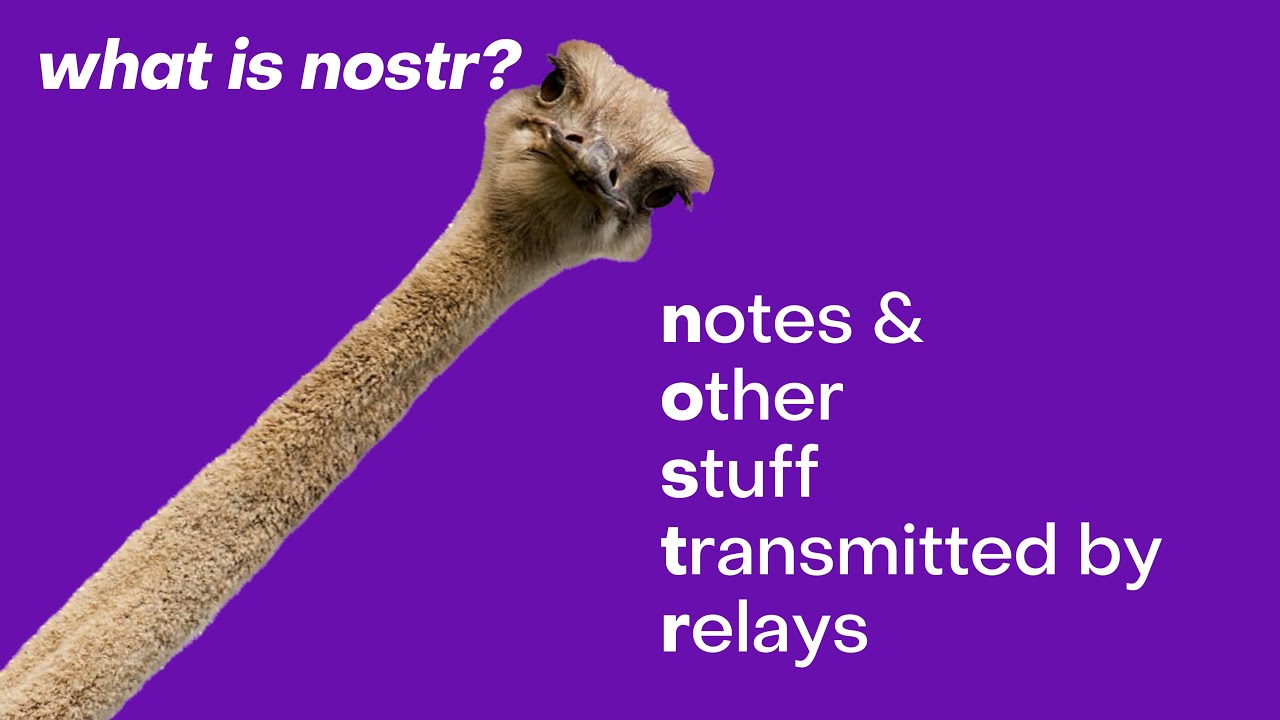 What is Nostr? - YouTube