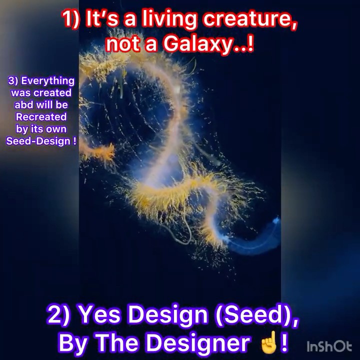 English: Yes Seed-Design (every creature is & will be recreated by its ...