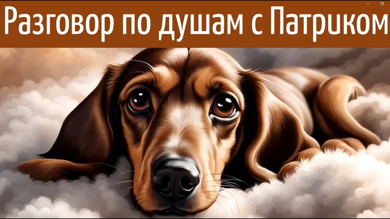 РАЗГОВОР С ЛЮБИМОЙ СОБАКОЙ - YouTube