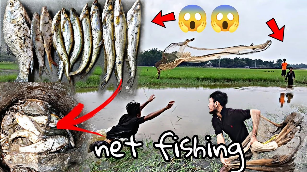 Unbelievable Net Fishing//जाल से मछली पकड़ा//kitna catfish hai😱??//vlog ...